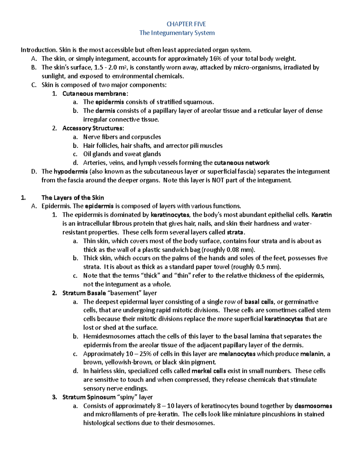 Chapter 5 outline integumemntary system - CHAPTER FIVE The ...