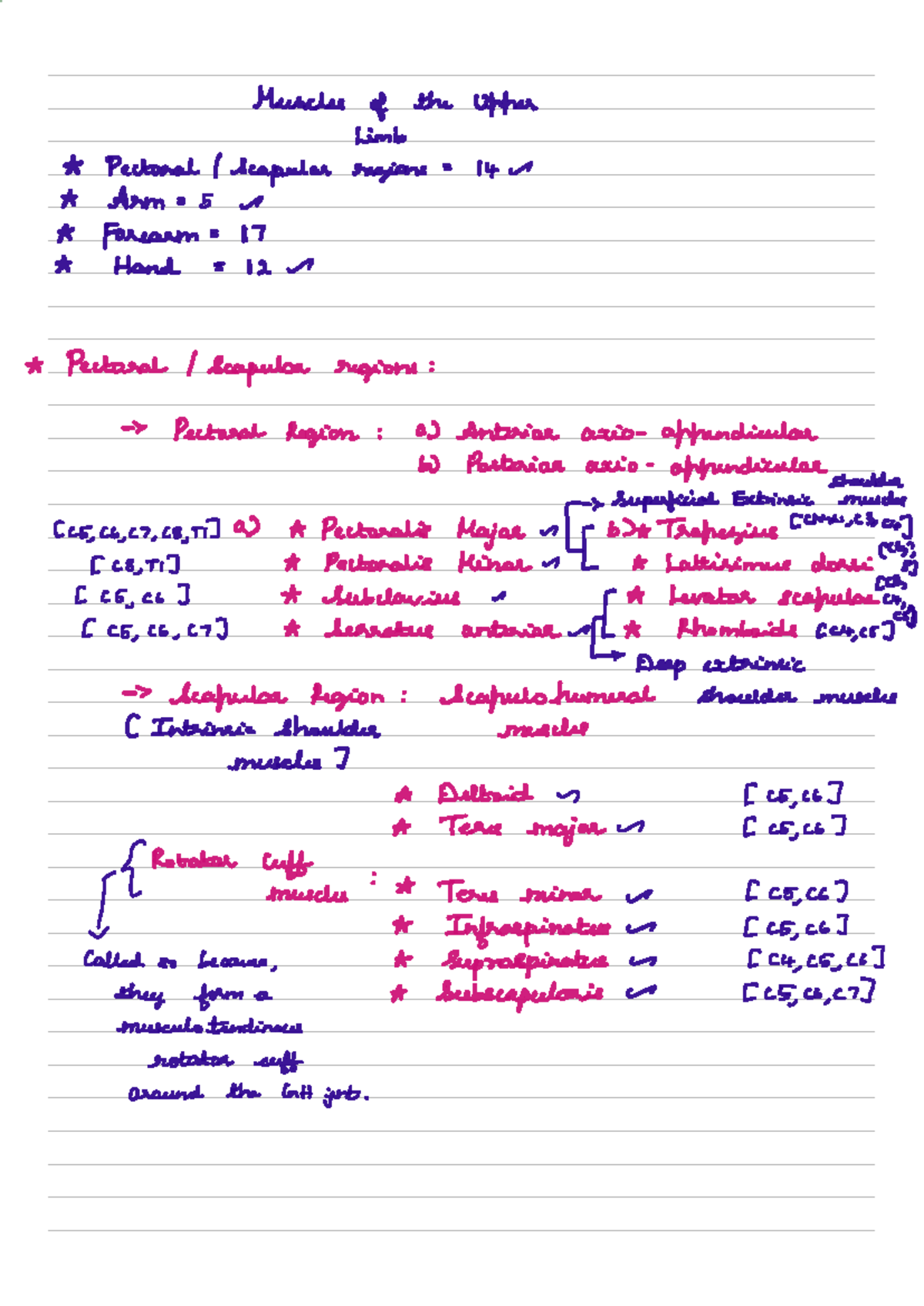 Muscles of upper limb - Notes - Medical Terminology - Studocu