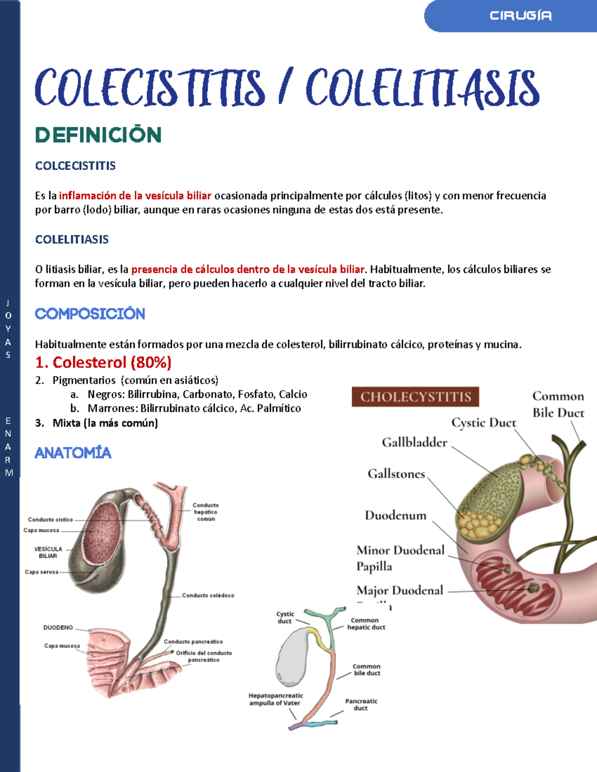Colecisititis Colelitiasis - J O Y A S E N A R M COLECISTITIS ...