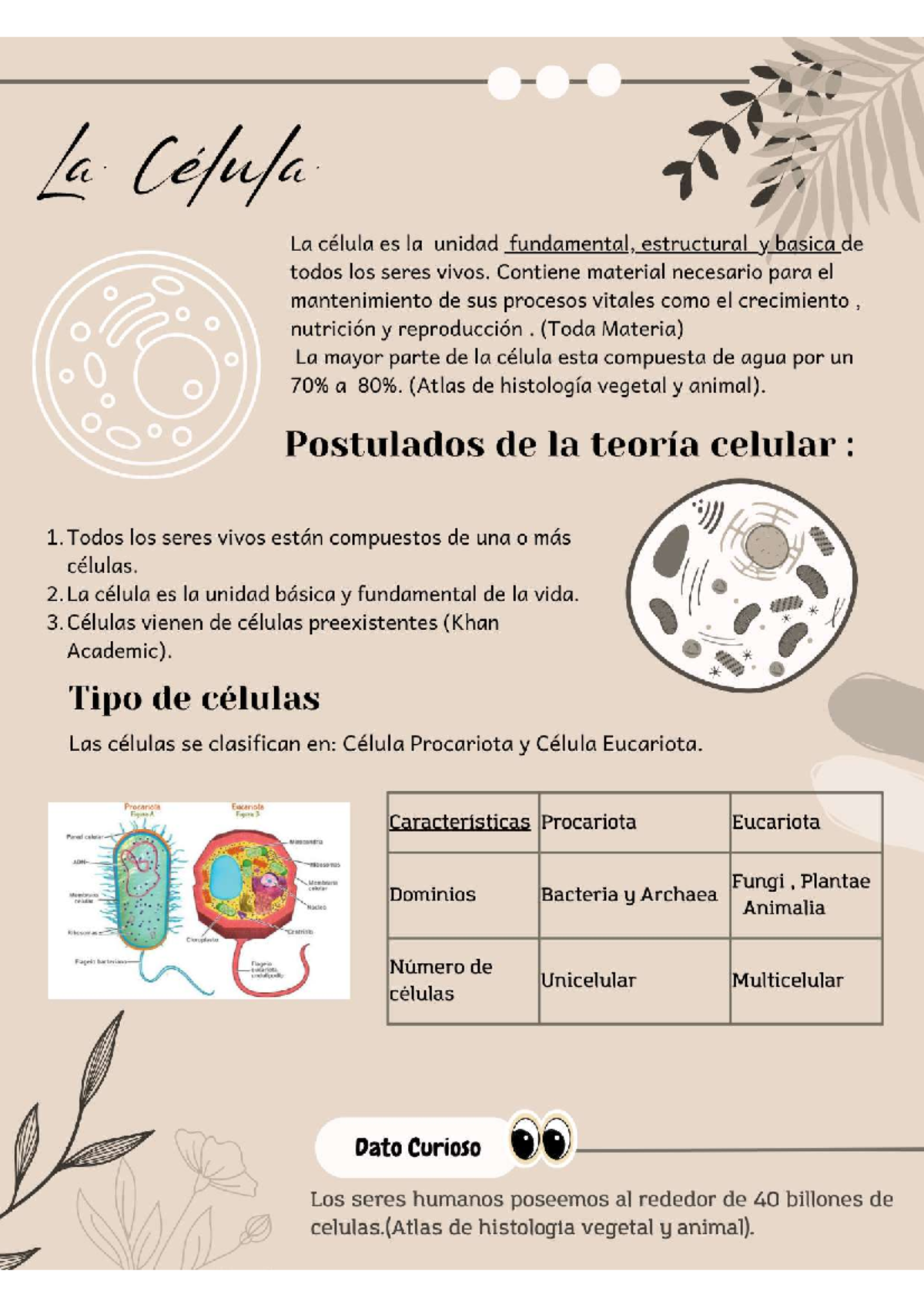 Póster Biología Tipos de células Ilustrativo Verde - Biología Celular y ...
