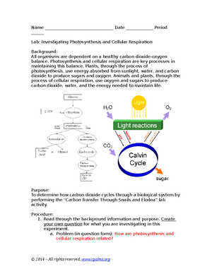 Assignment 3 - Solution - CSC595/CSC495: Fundamentals of Data Science Assignment 3 - Questions ...