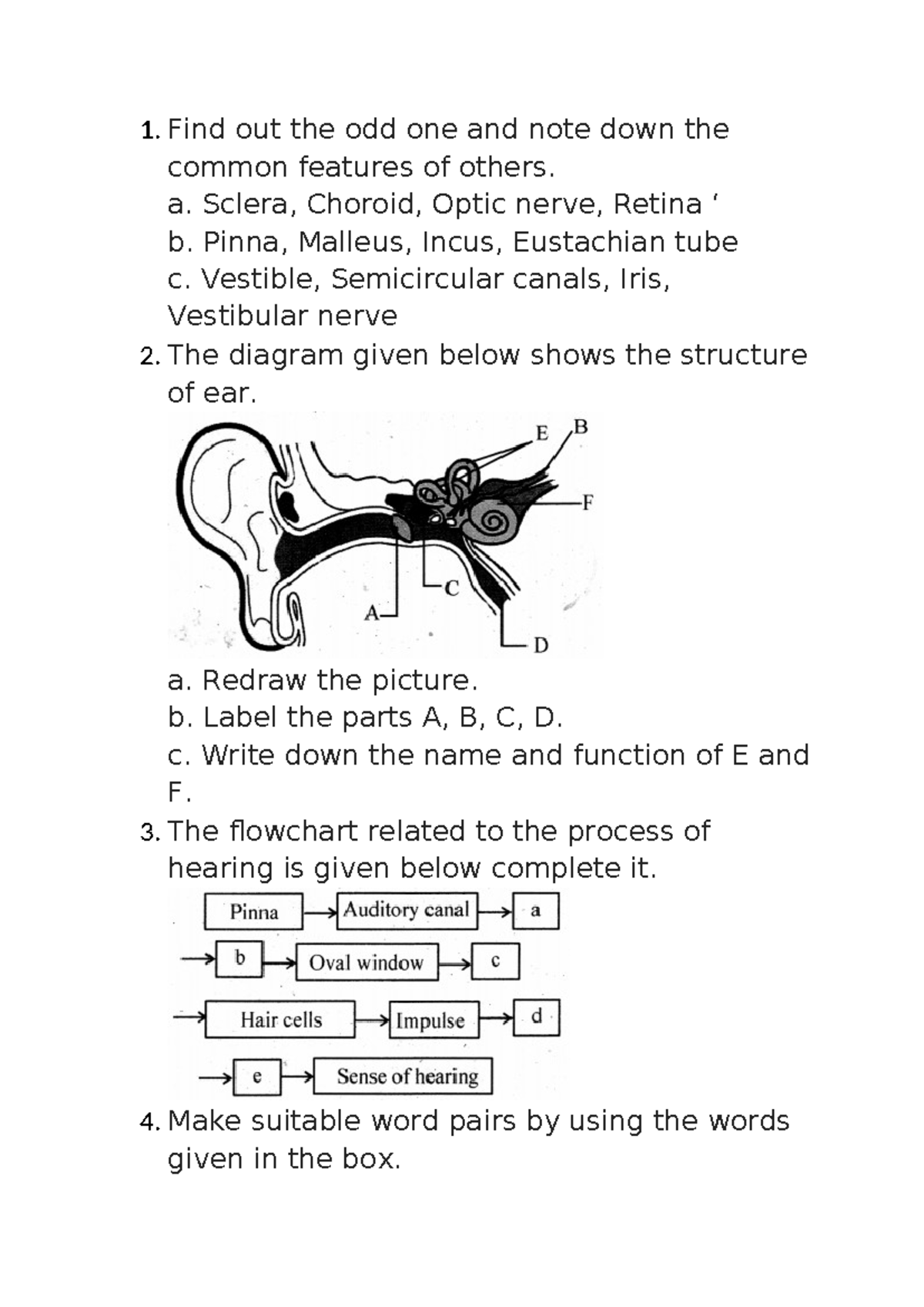 Biology Revision Questions Part 2 Find Out The Odd One And Note Down The Common Features Of 
