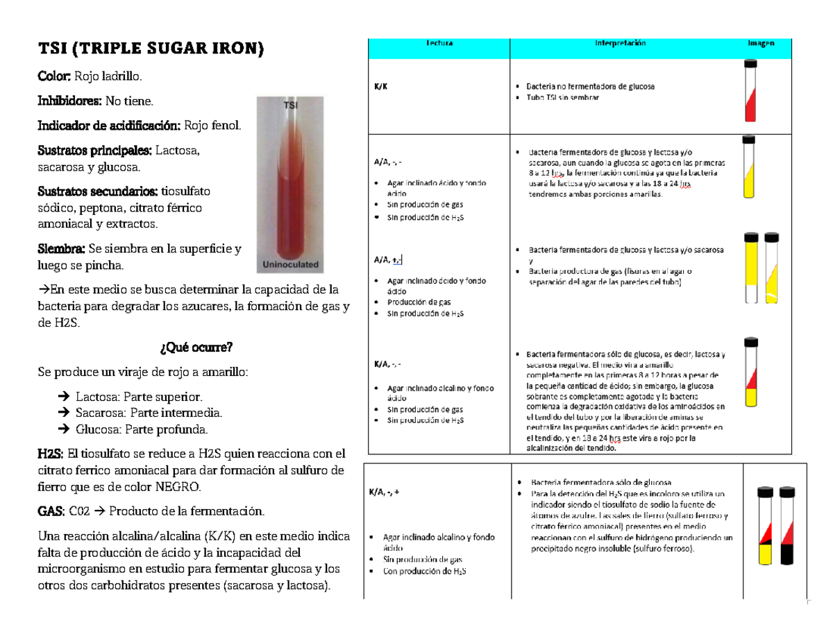 Baterías bioquímicas de microbiología para detección de bacterias - TSI ...