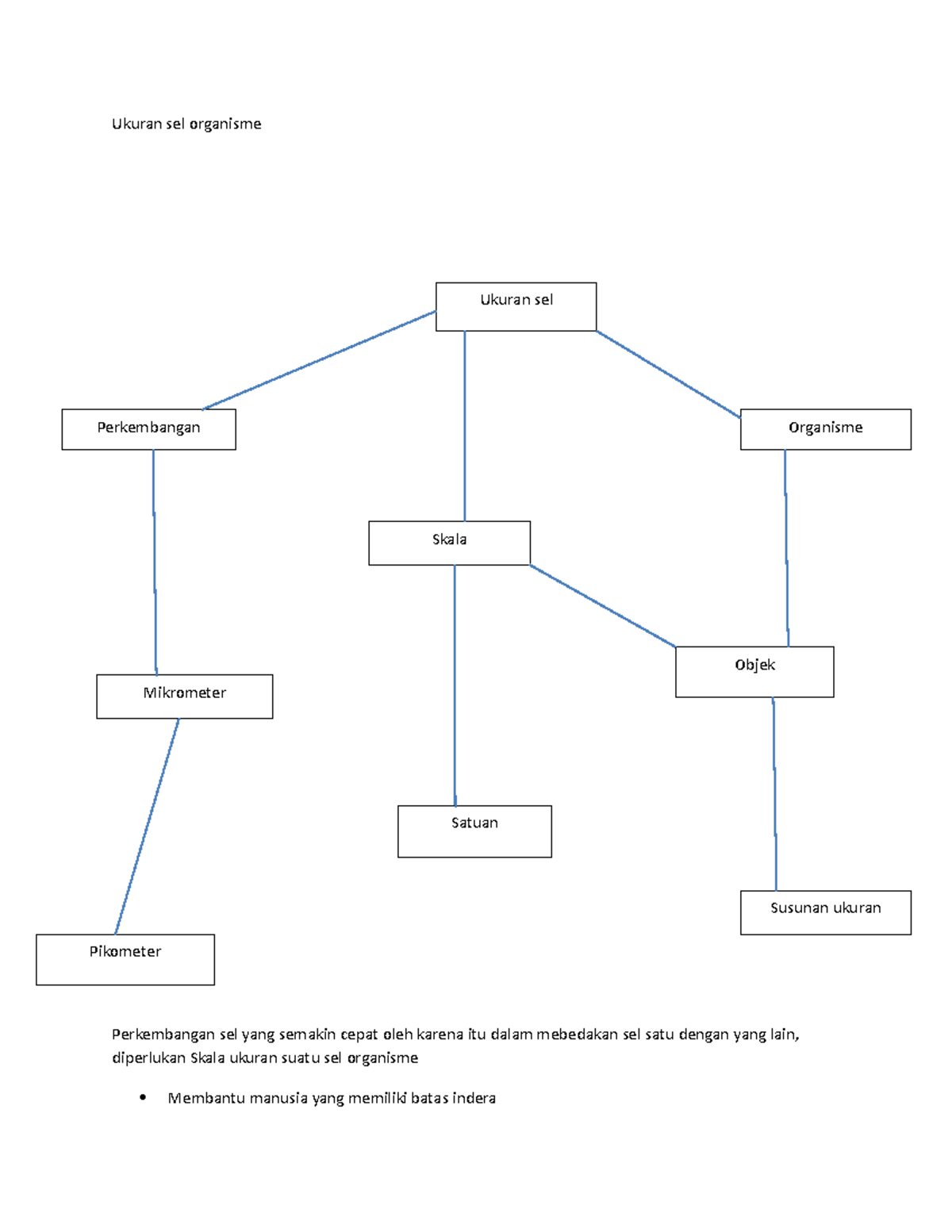 Ukuran sel organisme - Ukuran sel organisme Perkembangan sel yang ...