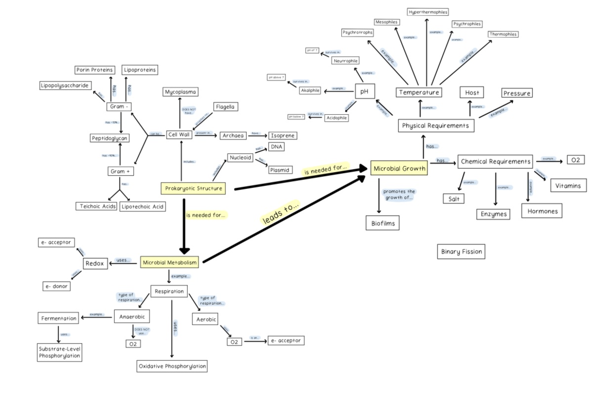 Example of mindmap - note - Hyperthermophiles Mesophiles Psychrophiles ...