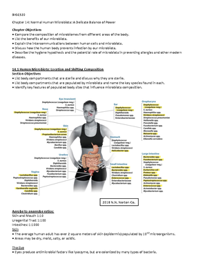 Example for Common Assignment - DEM Bones Forensic Analysis ...