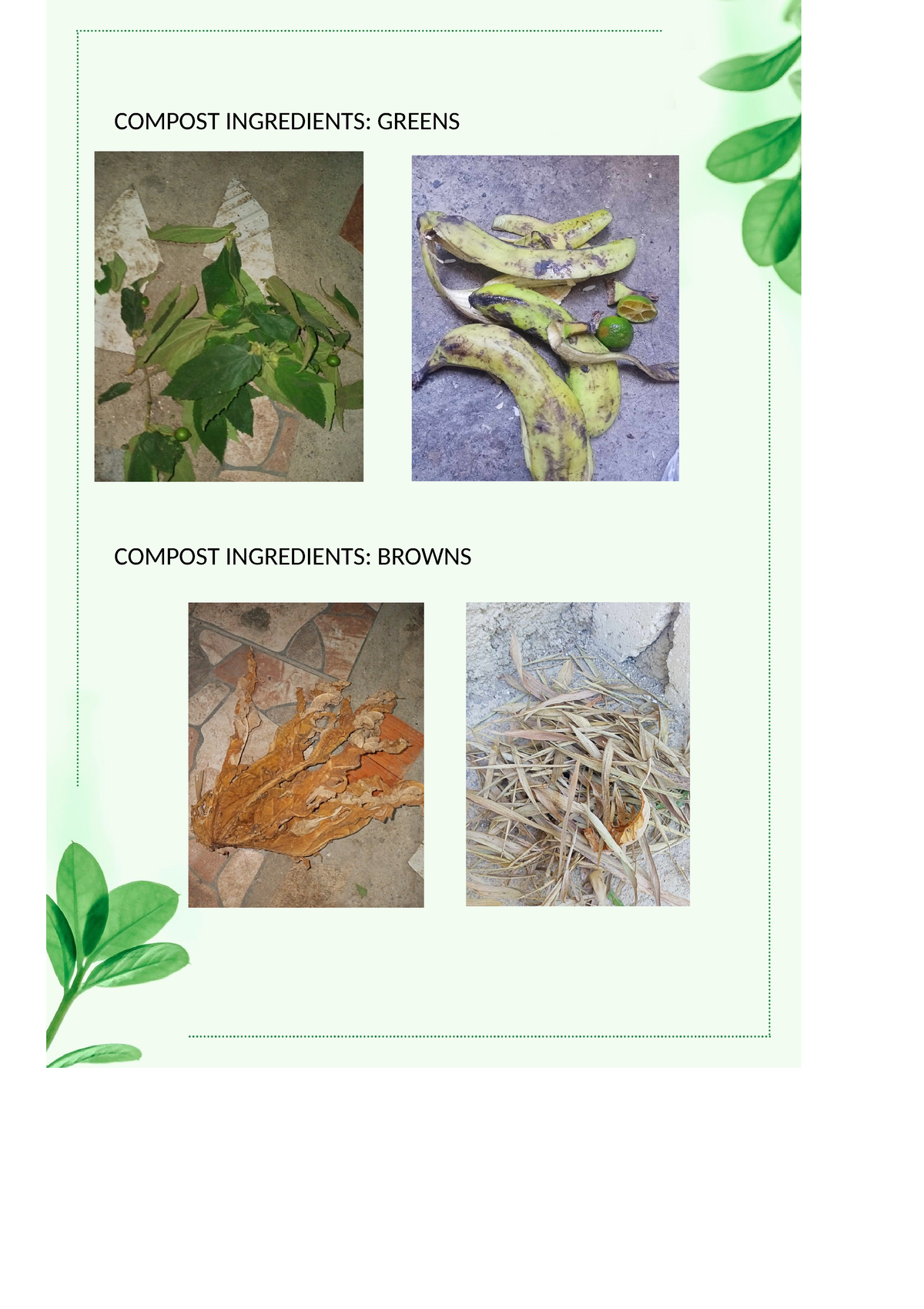 Simple Green Letter Paper WPS Office - Science Technology and Society ...