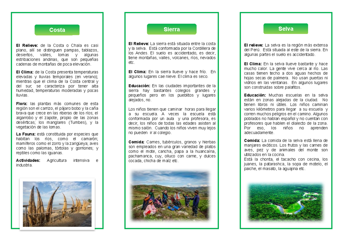 Triptico de las tres regiones - El relieve: La selva es la región más ...