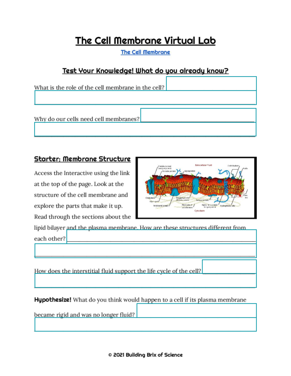 The Cell Membrane Virtual Lab (Digital Copy) - The Cell Membrane ...