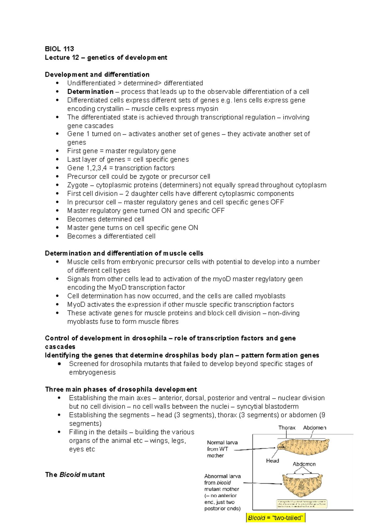 Lecture 12 - BIOL 113 Lecture 12 – genetics of development Development ...