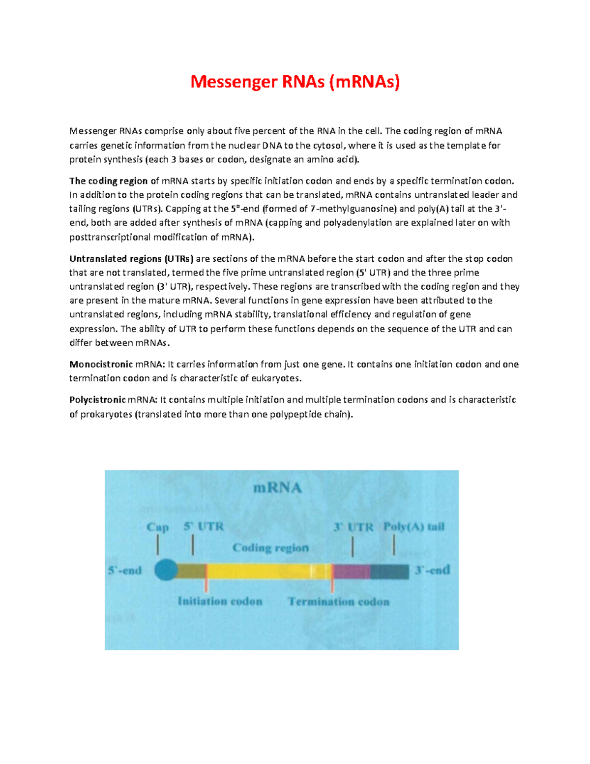 Messenger RNAs (m RNAs) - Messenger RNAs (mRNAs) Messenger RNAs ...