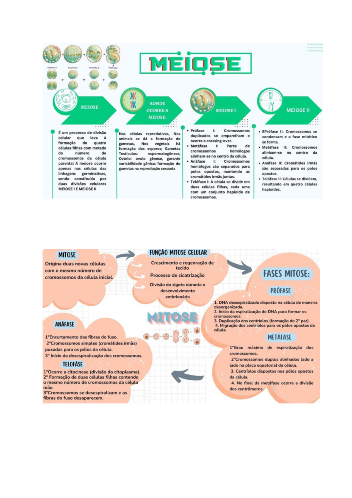 Mapas Mentais - mapa mental - Telephace Amariskee Metaphas 2 Prophase ...