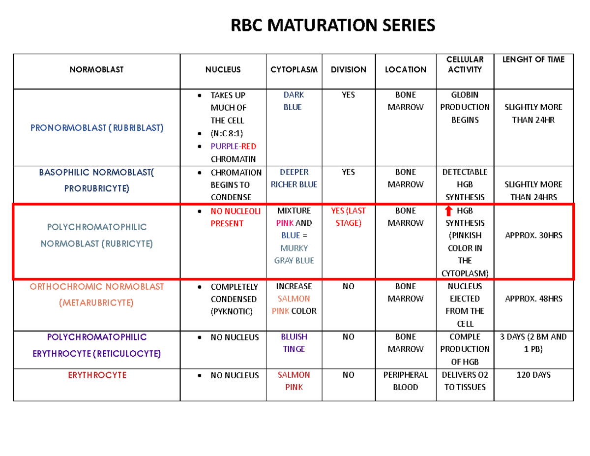 RBC- Maturation- Series - NORMOBLAST NUCLEUS CYTOPLASM DIVISION ...