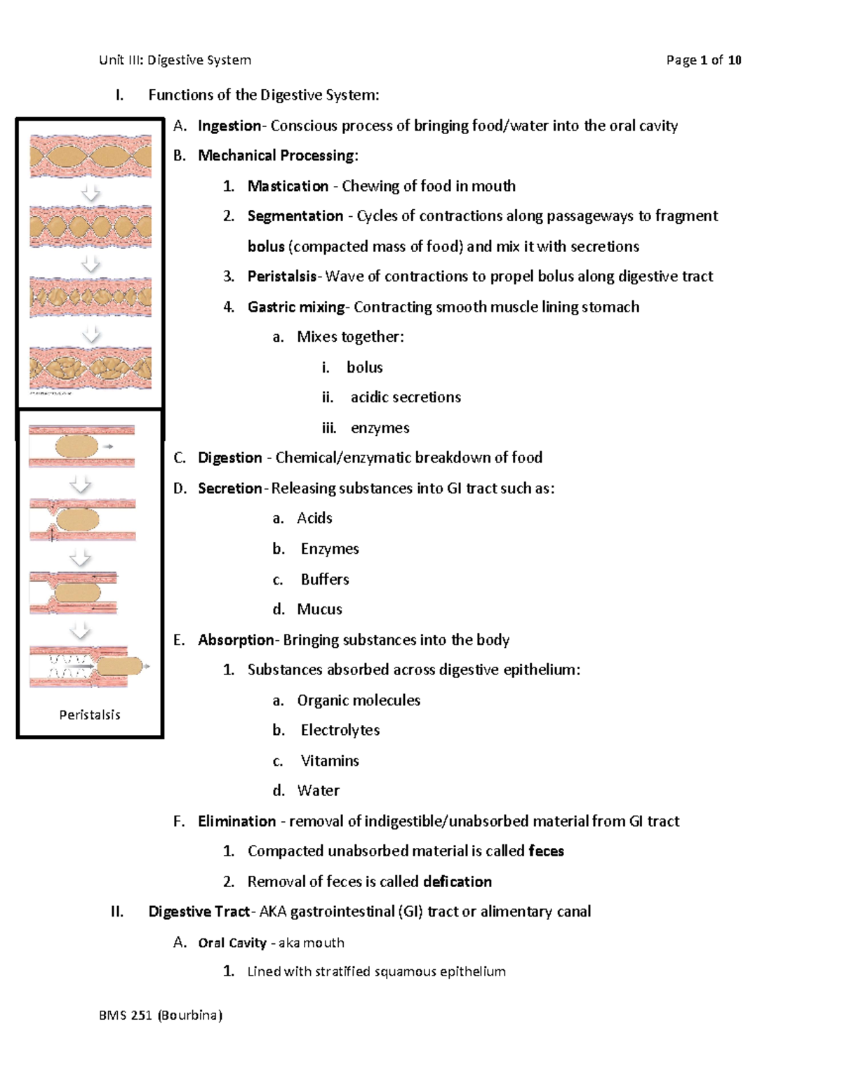 Digestive Notes - Professor Bourbina - I. Functions of the Digestive ...