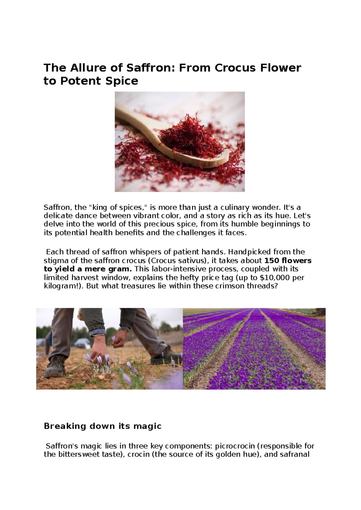 Saffron - It's a delicate dance between vibrant color, and a story as ...
