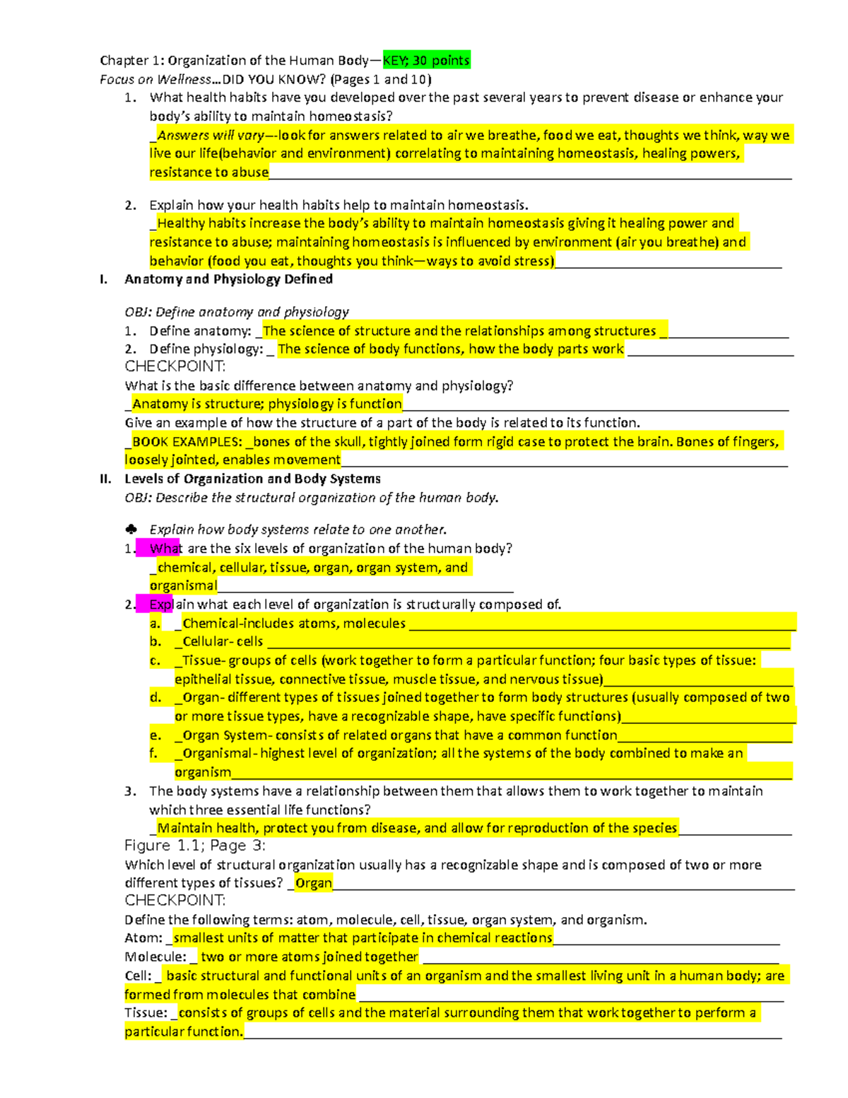 2a HPW chp 1 Packet KEY Chapter 1 Organization Of The Human Body