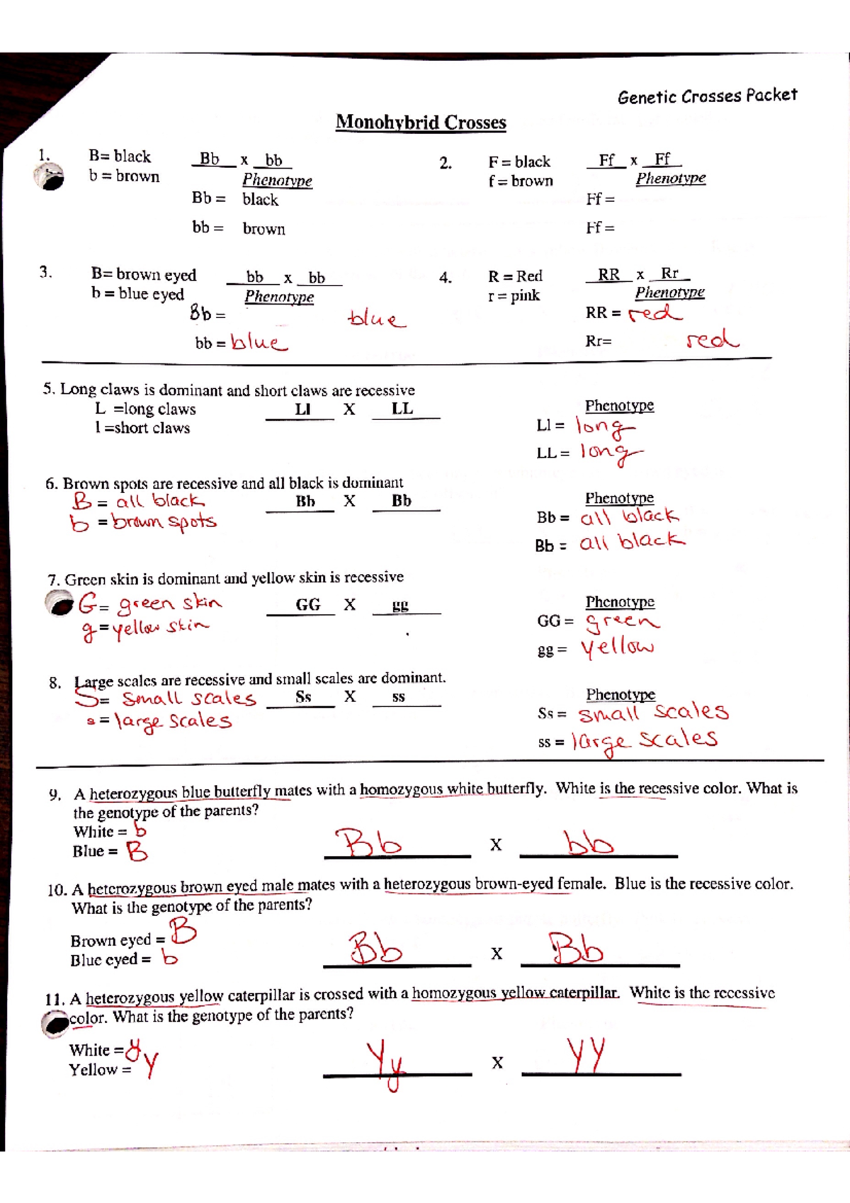 Genetic Crosses Packet KEY PDF - Genetic Crosses Packet Monohybrid ...