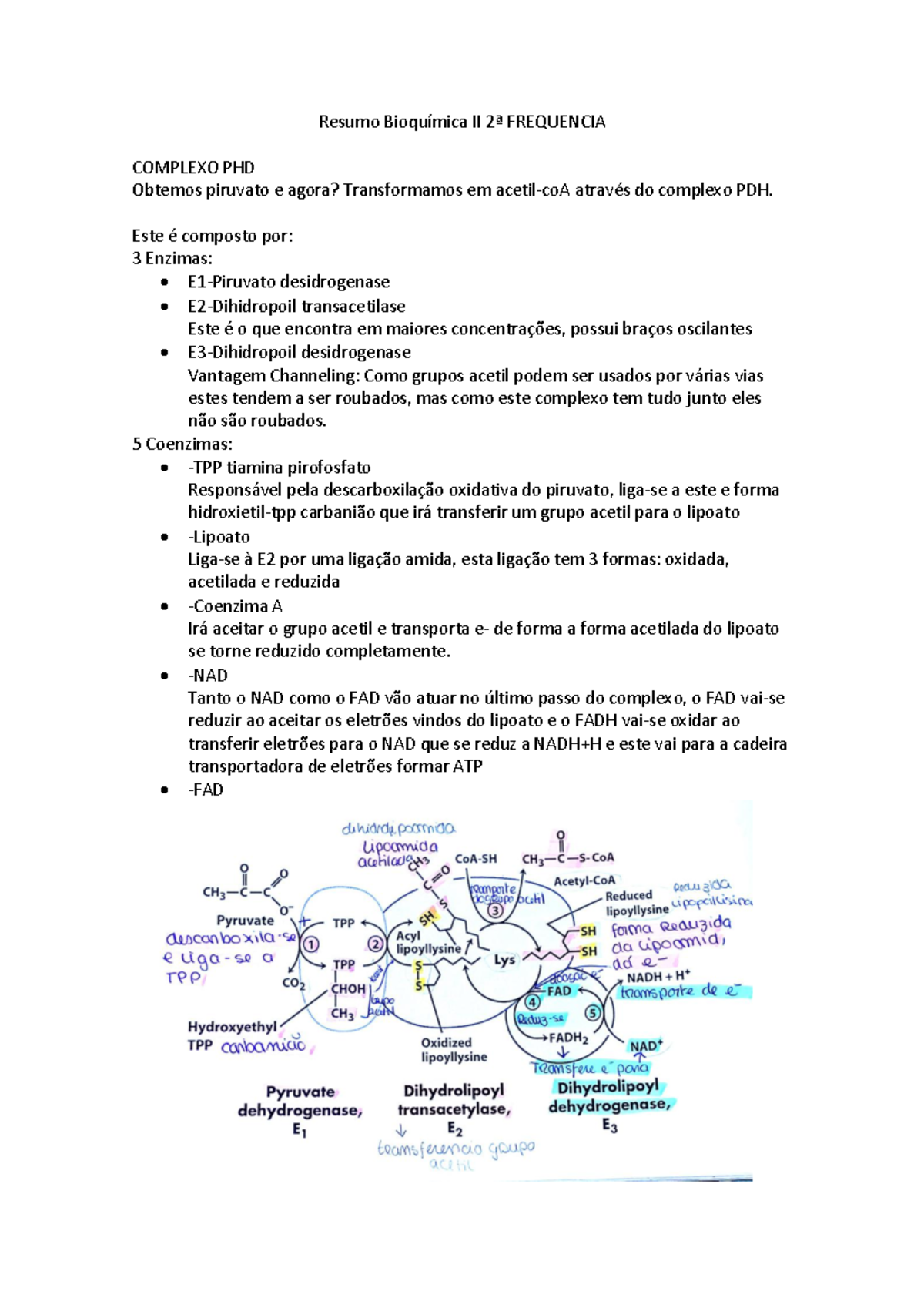 Resumo Bioquimica 2 - Resumo Bioquímica II 2ª FREQUENCIA COMPLEXO PHD ...
