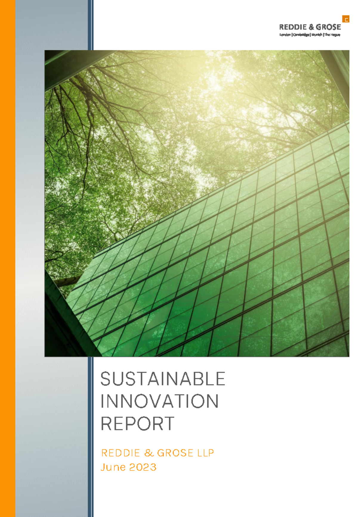 RG Sustainable Innovation Report 2023 - REDDIE & GROSE LLP June 2023 ...