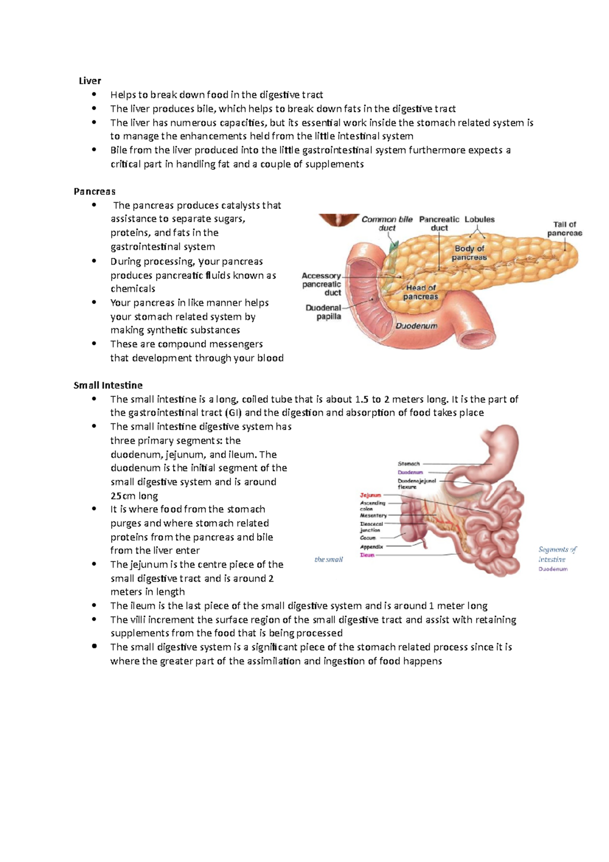 Digestive system assessment 1C - Liver Helps to break down food in the ...