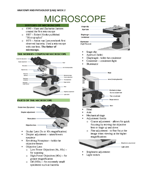 Microscope - ANATOMY AND PHYSIOLOGY (LAB): WEEK 2 MICROSCOPE o 1590 ...