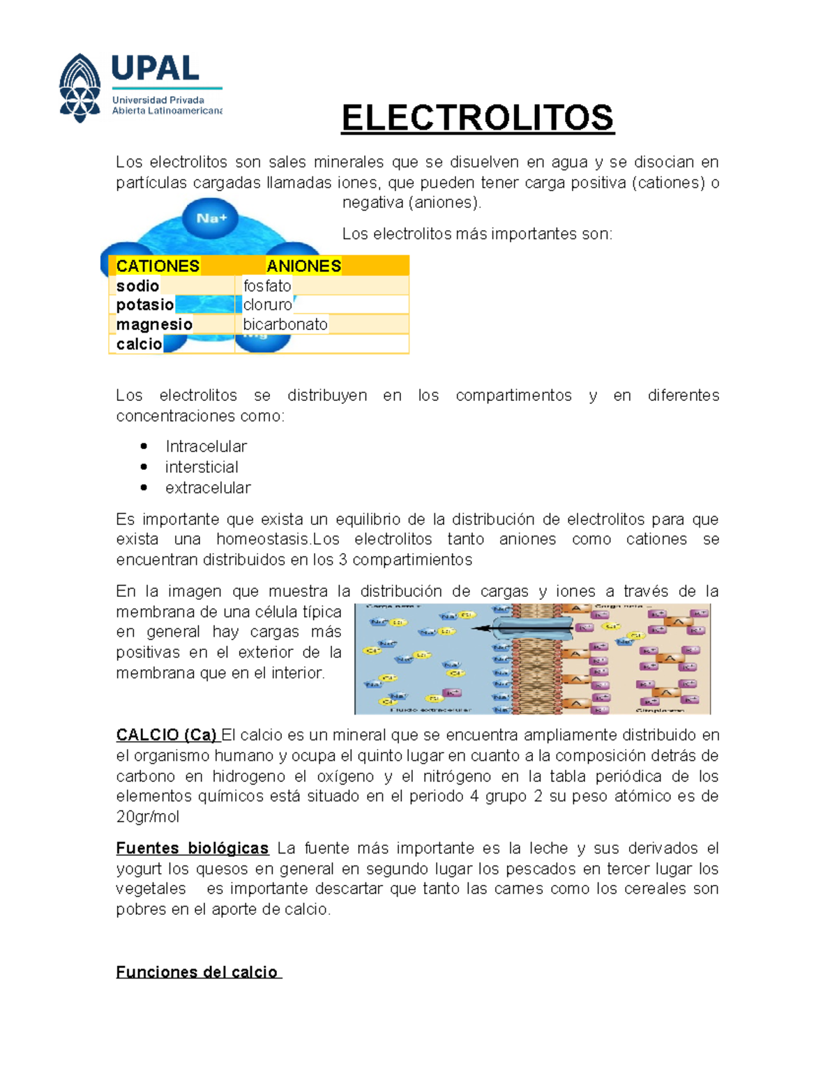 Electrolitos - trabajo practico - ELECTROLITOS Los electrolitos son ...