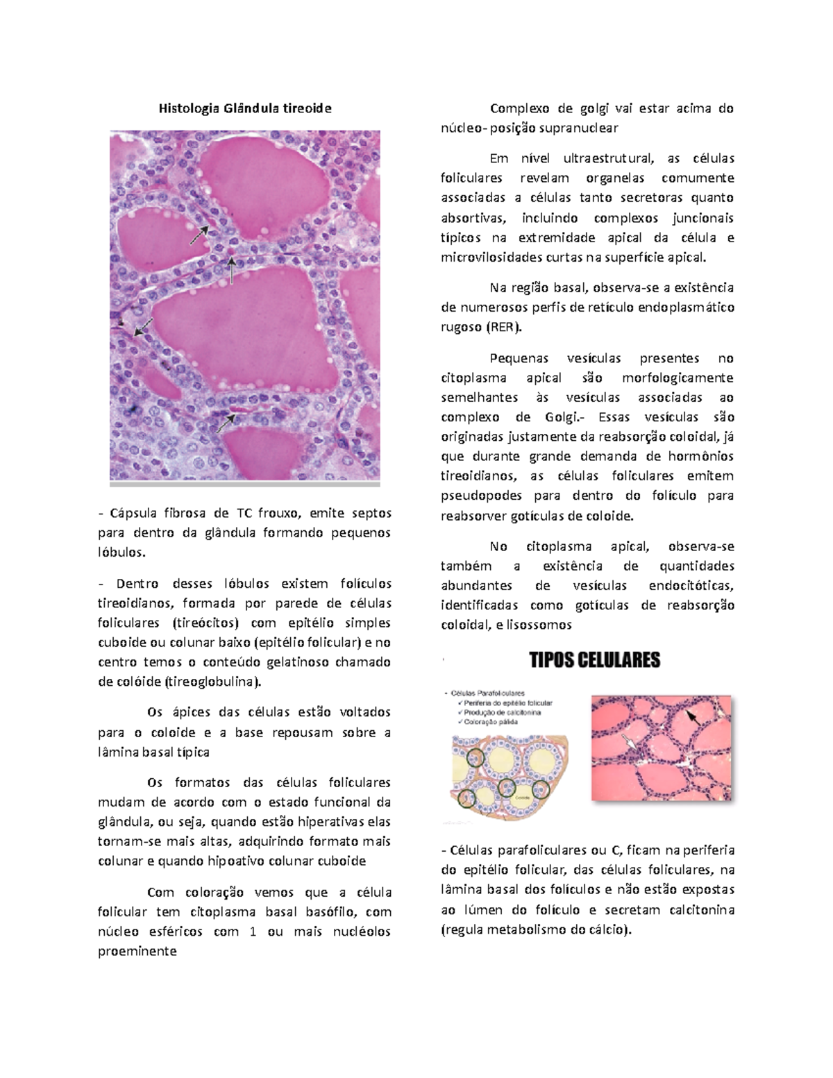 Ultrassonografia De Tireoide Com Adenoma Folicular