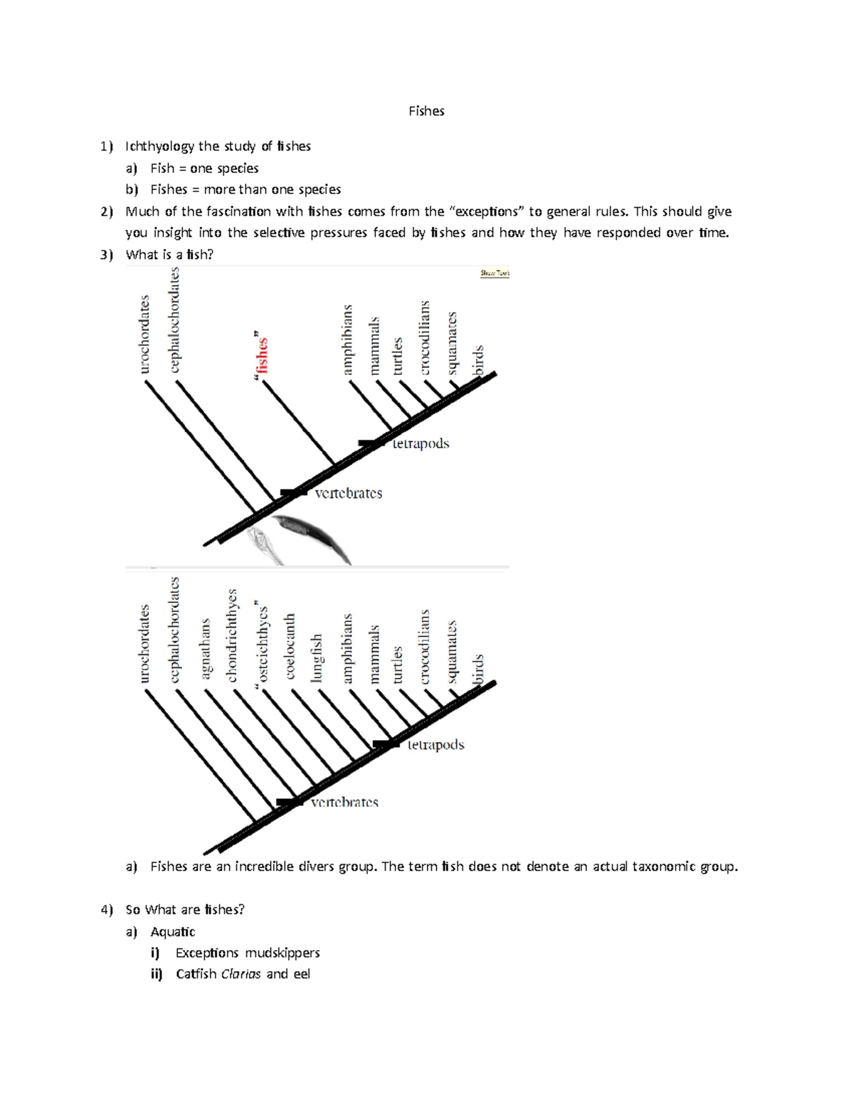 Fishes - Conservation of Biology / Zoology lecture notes for all 3 ...