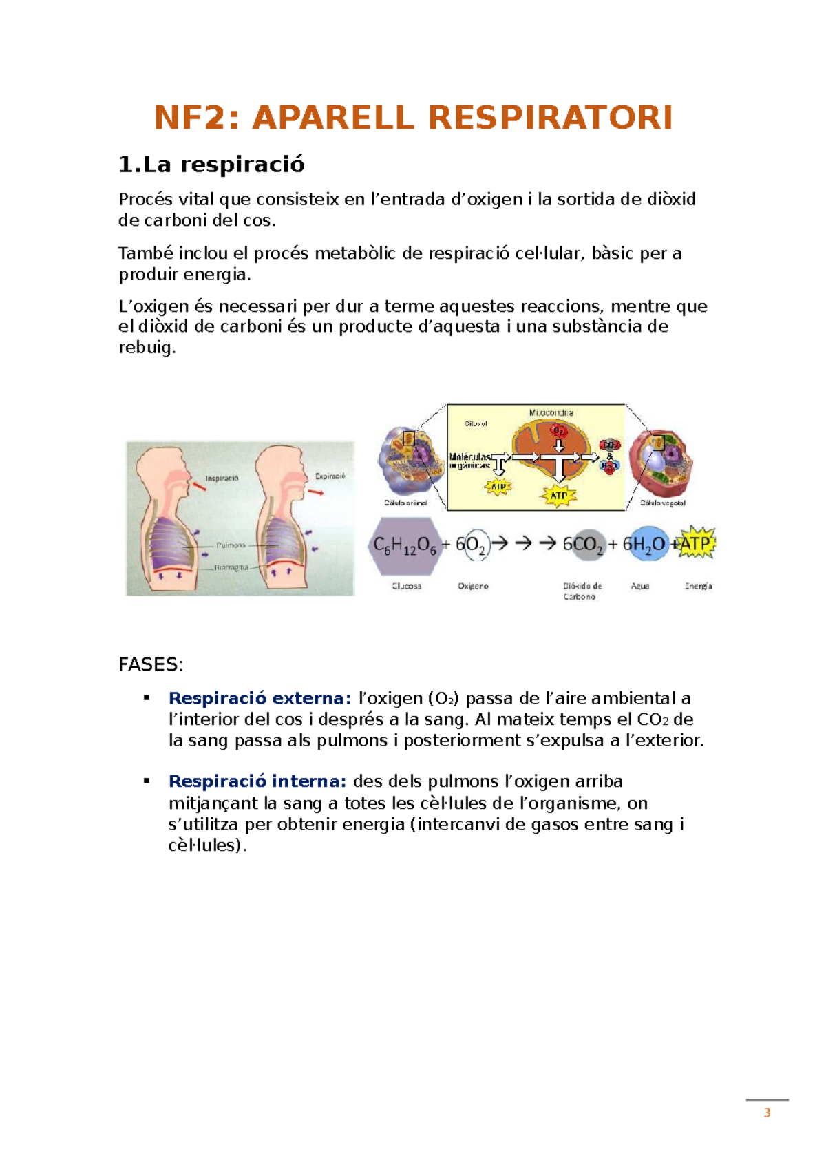 NF2 Aparell respiratori - NF2: APARELL RESPIRATORI 1 respiració Procés ...
