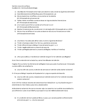 Fialoconidios O Fialosporas - Tarea: Características e Imágenes ...