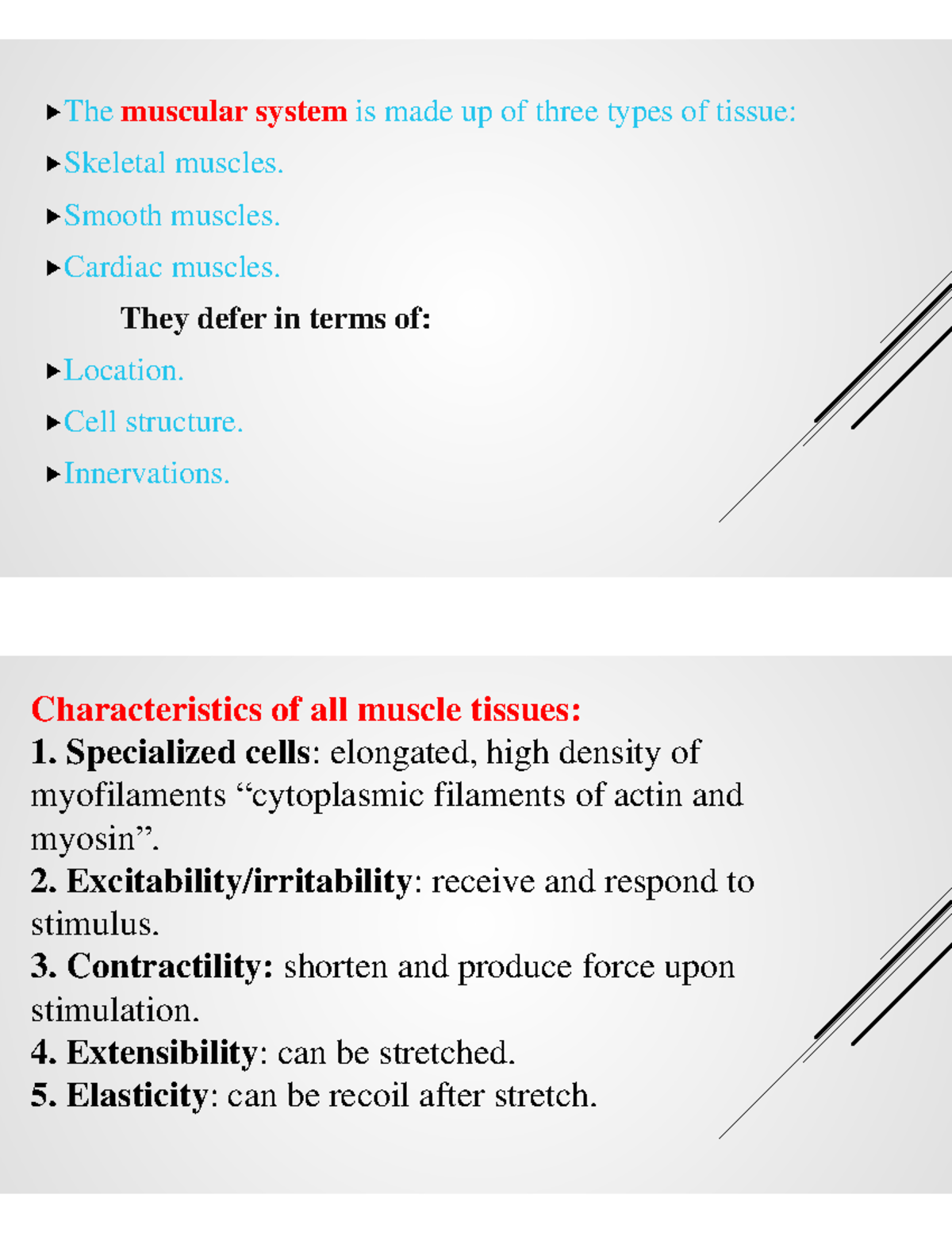 The muscular system - Biomedical Engineering - The muscular system is ...