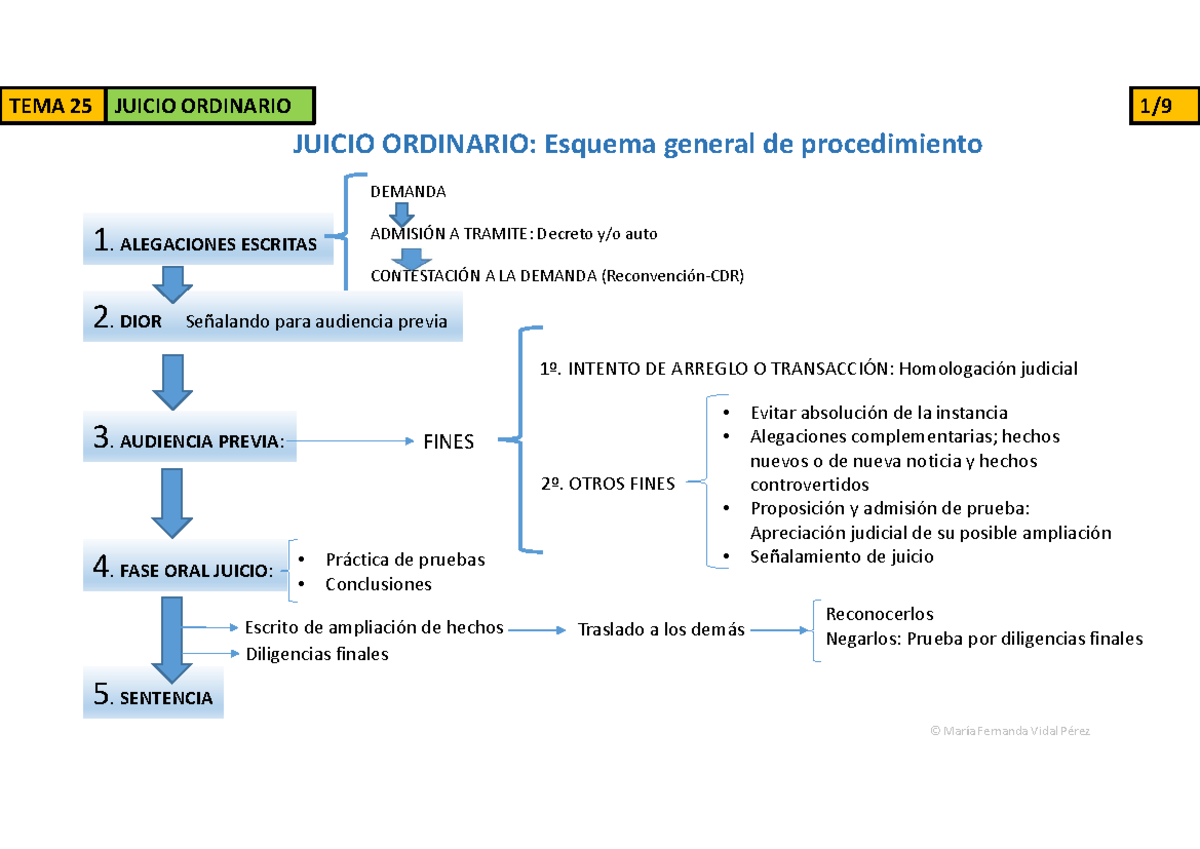 PDF -juicio ordinario - jv- PP - JUICIO ORDINARIO: Esquema general de ...