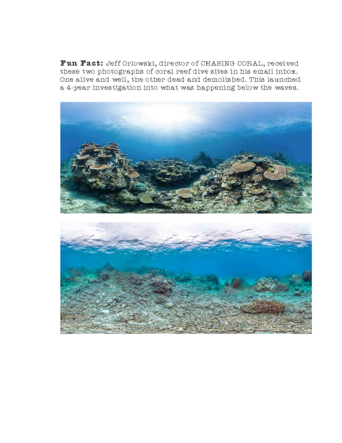 3.2 Chasing Coral Photo Packets - Fun Fact: Jeff Orlowski, director of ...