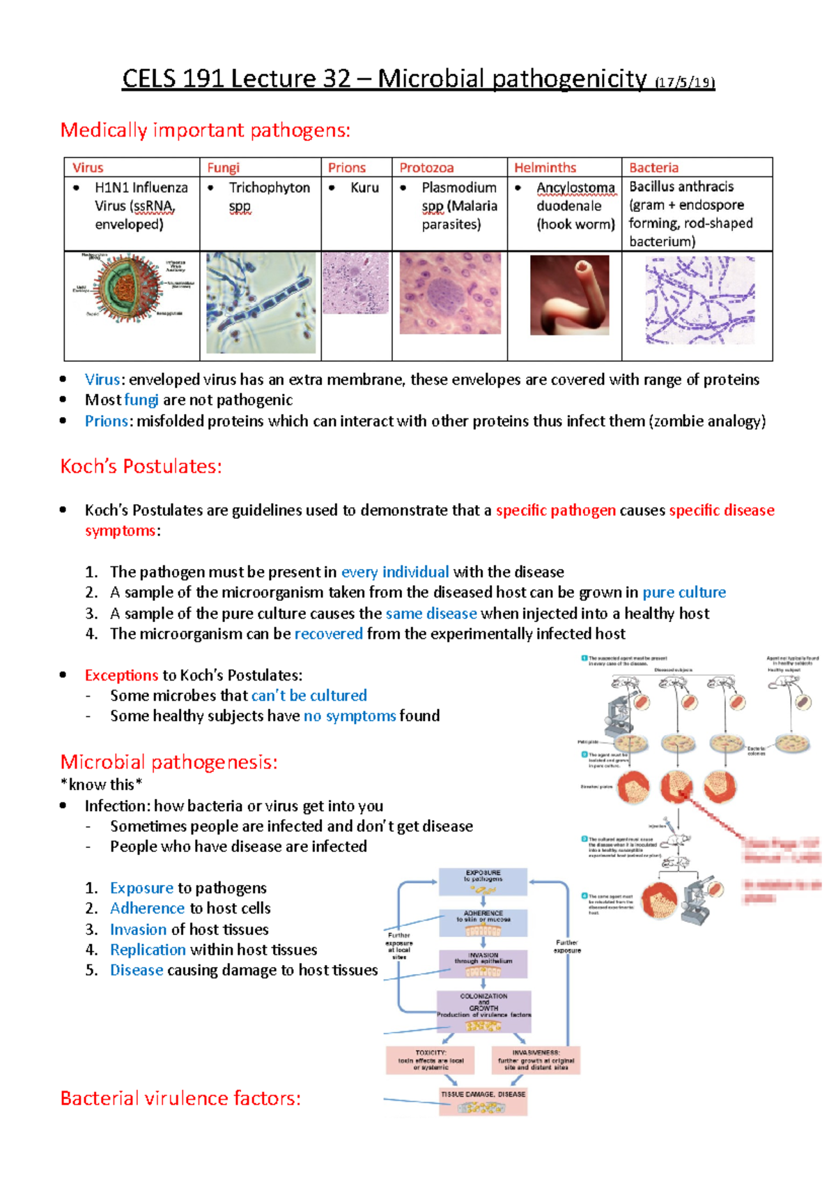 CELS 191 Lecture 32 - CELS191 notes with average of 97% - CELS 191 ...