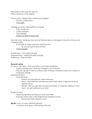 Muscle Checklist - Muscle Checklist Muscles Primary Function of the ...