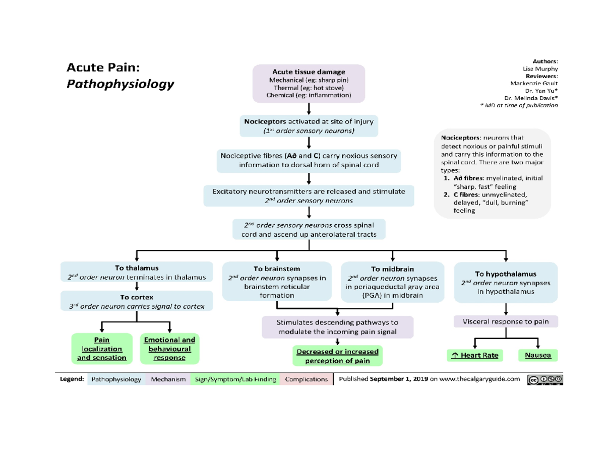 Pathophysio of pain - pain - Nursing Service Administration - Studocu