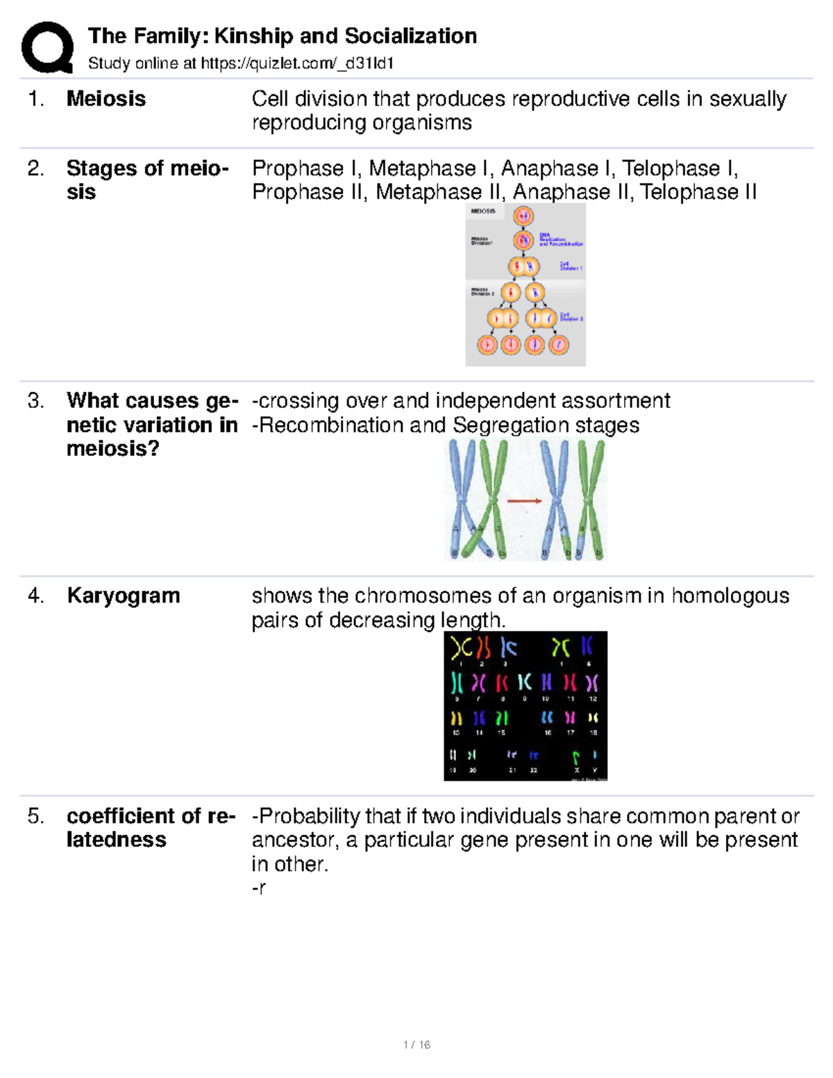 The family and Kin Selection - Study online at quizlet/_d31ld Meiosis ...
