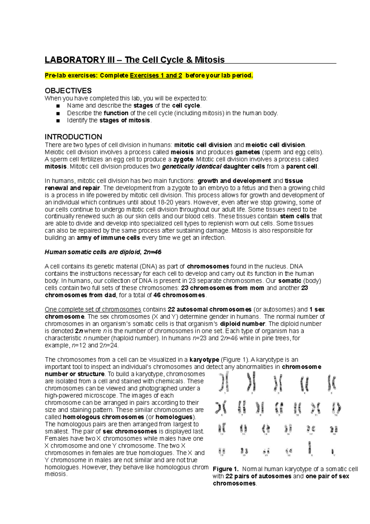 Lab 3 cell cycle and mitosis - LABORATORY III – The Cell Cycle ...