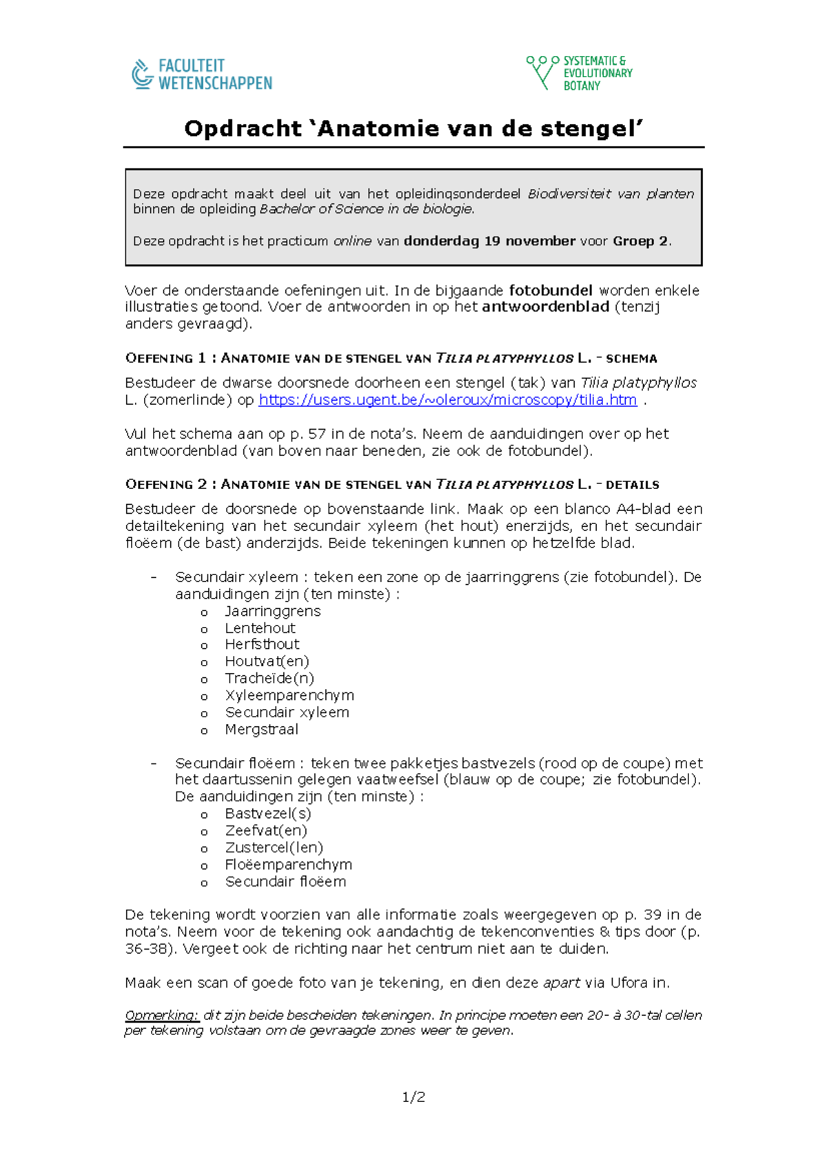 7 Practicum stengel 2 vragen - 1/ Opdracht ‘Anatomie van de stengel ...