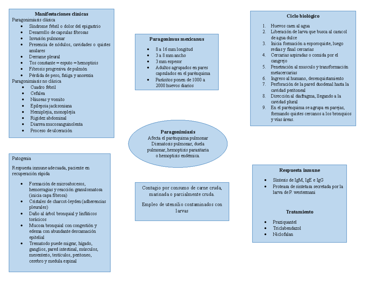 Paragonimiasis - Material de repaso - Paragonimiasis Afecta el ...