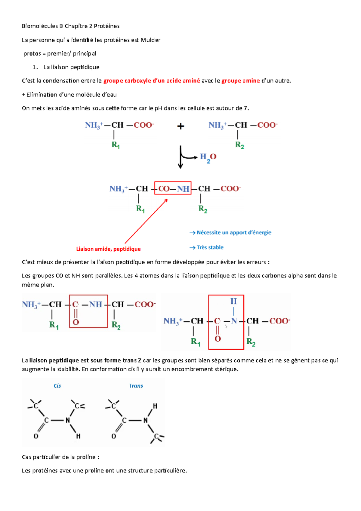 Chapitre 2 Protéines - La liaison peptidique C’est la condensation ...