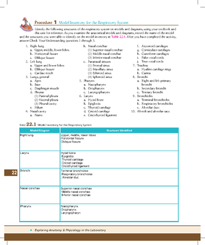 Unit 22 Exercise 22-1 Procedure 3 kj - Respiratory System Anatomy n ...