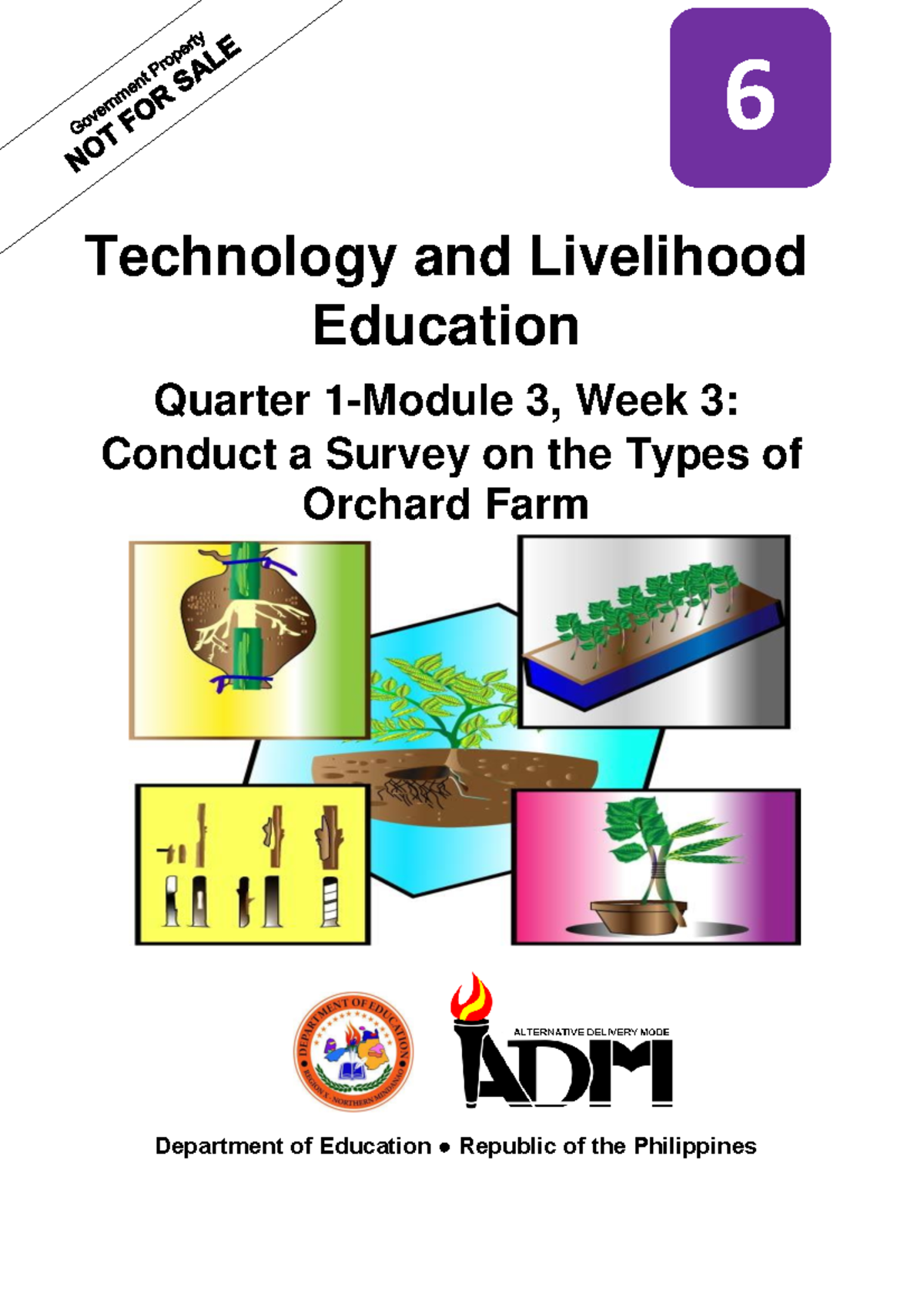 TLE6 Q1 Mod3 Conduct Survey On The Types Of Orchard Farm v3 ...