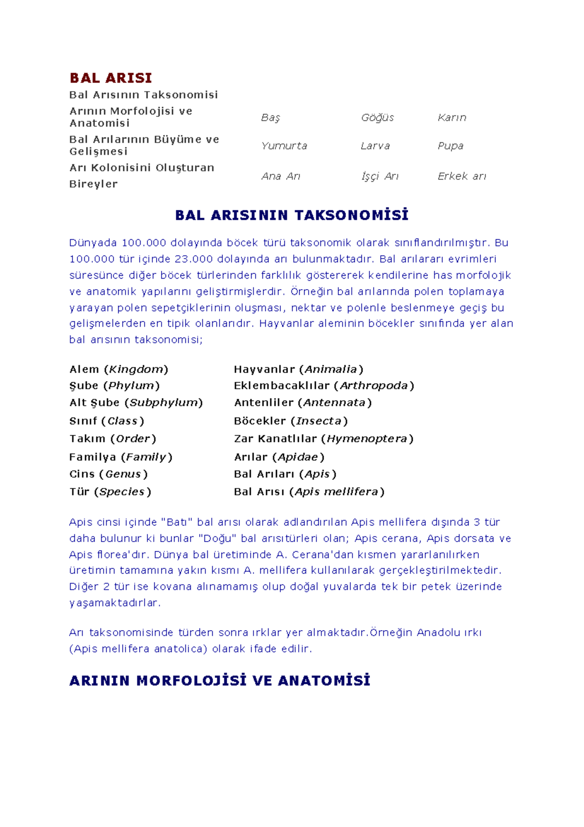 Bal Arısı Answers - tukcge - BAL ARISI Bal Arısının Taksonomisi Arının ...