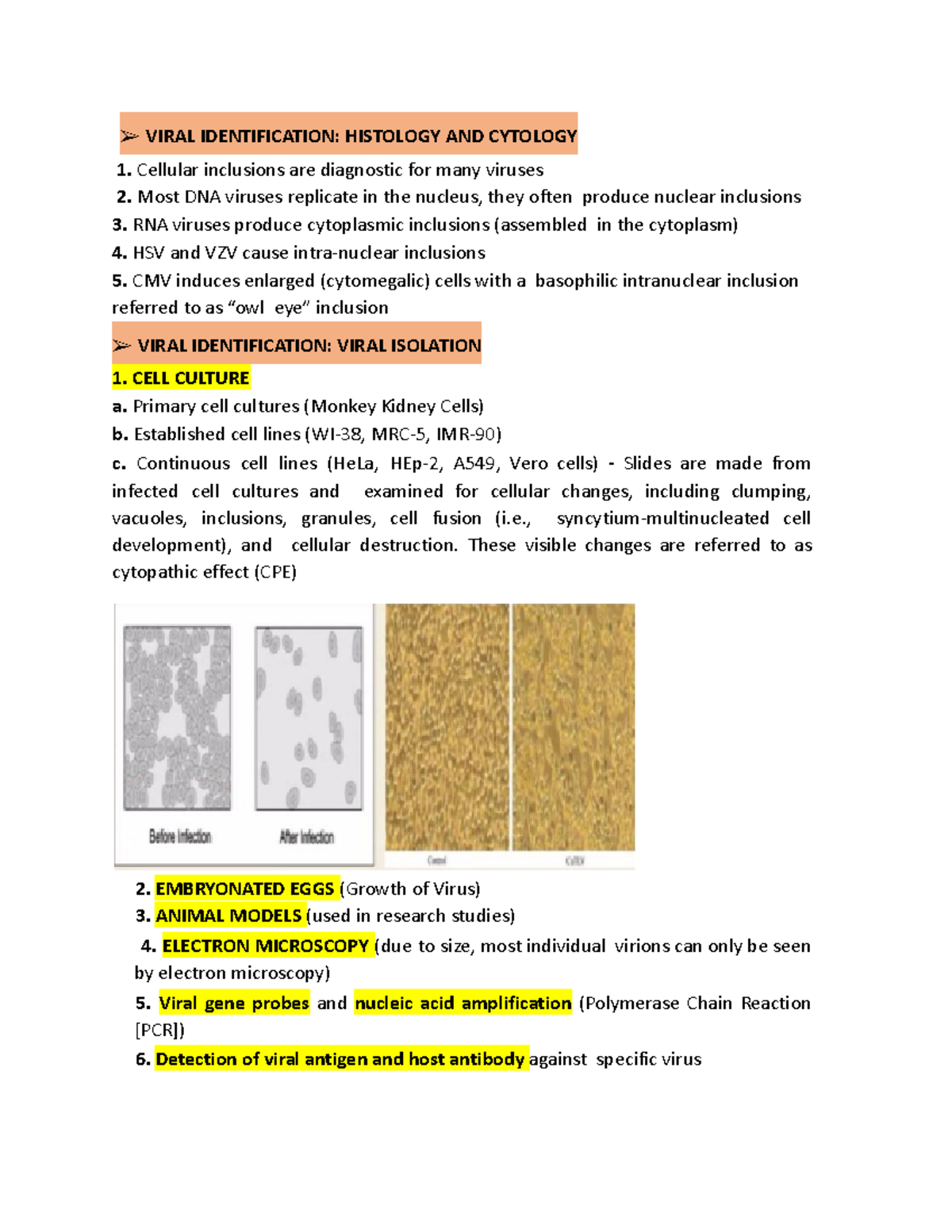 Viral Identification Histology AND Cytology - VIRAL IDENTIFICATION ...