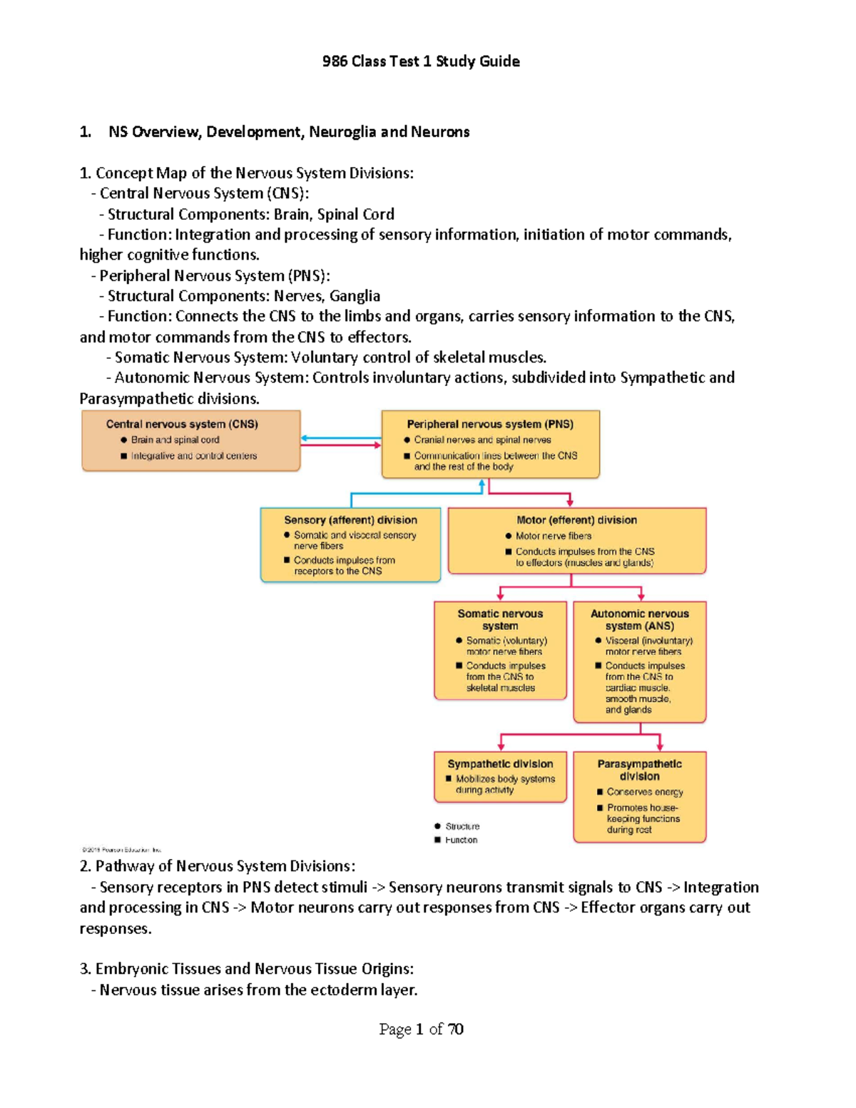 Class Test 1 Study Guide - NS Overview, Development, Neuroglia and ...