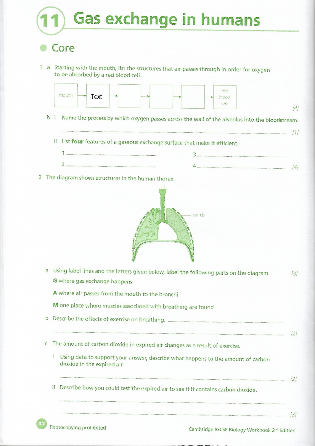 Worksheet 1 Gas Ex - Practicing the gas - Studocu