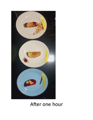 BIT Exam past papers for local indivi - UNIVERSITY OF COLOMBO, SRI ...