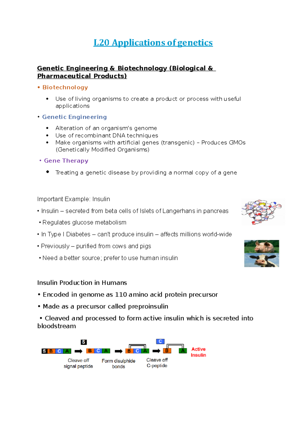 Lecture 20 Applications of genetics in science/research - 4BBY1070 ...