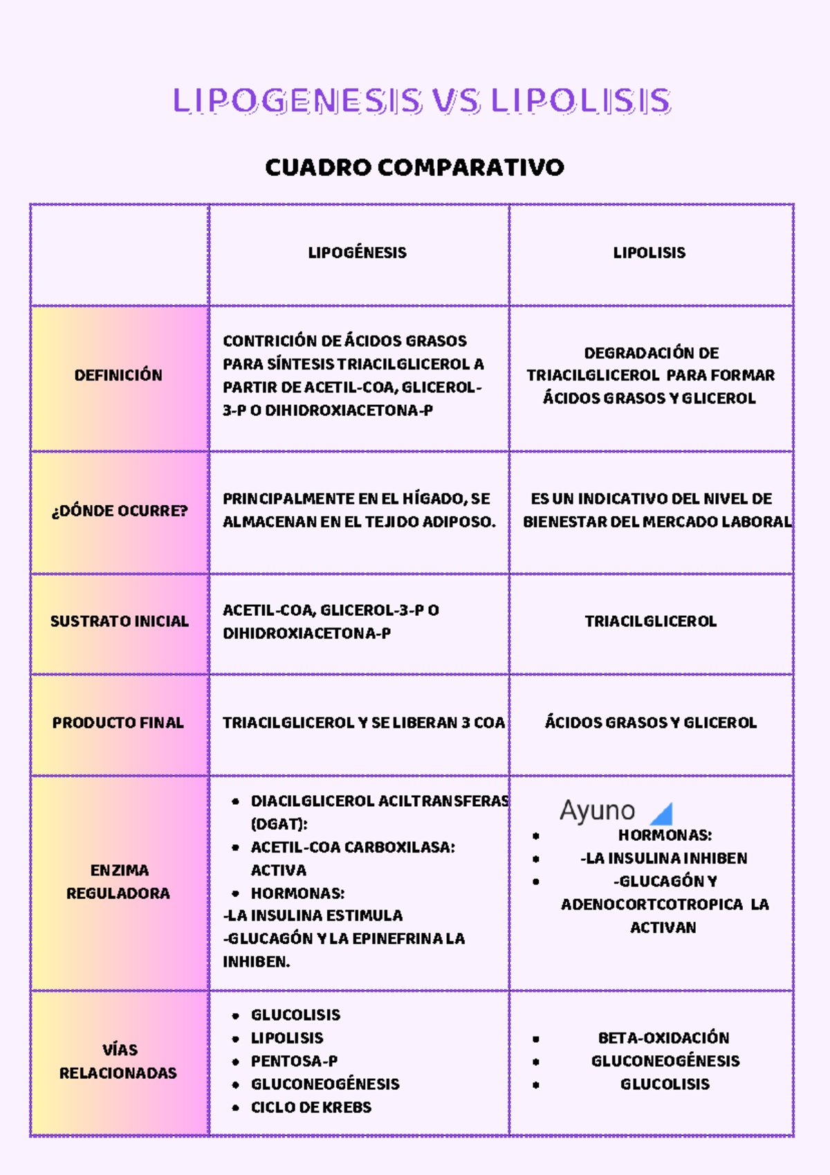 Lipolisis VS Lipogenesis - LIPOGÉNESIS LIPOLISIS DEFINICIÓN CONTRICIÓN ...